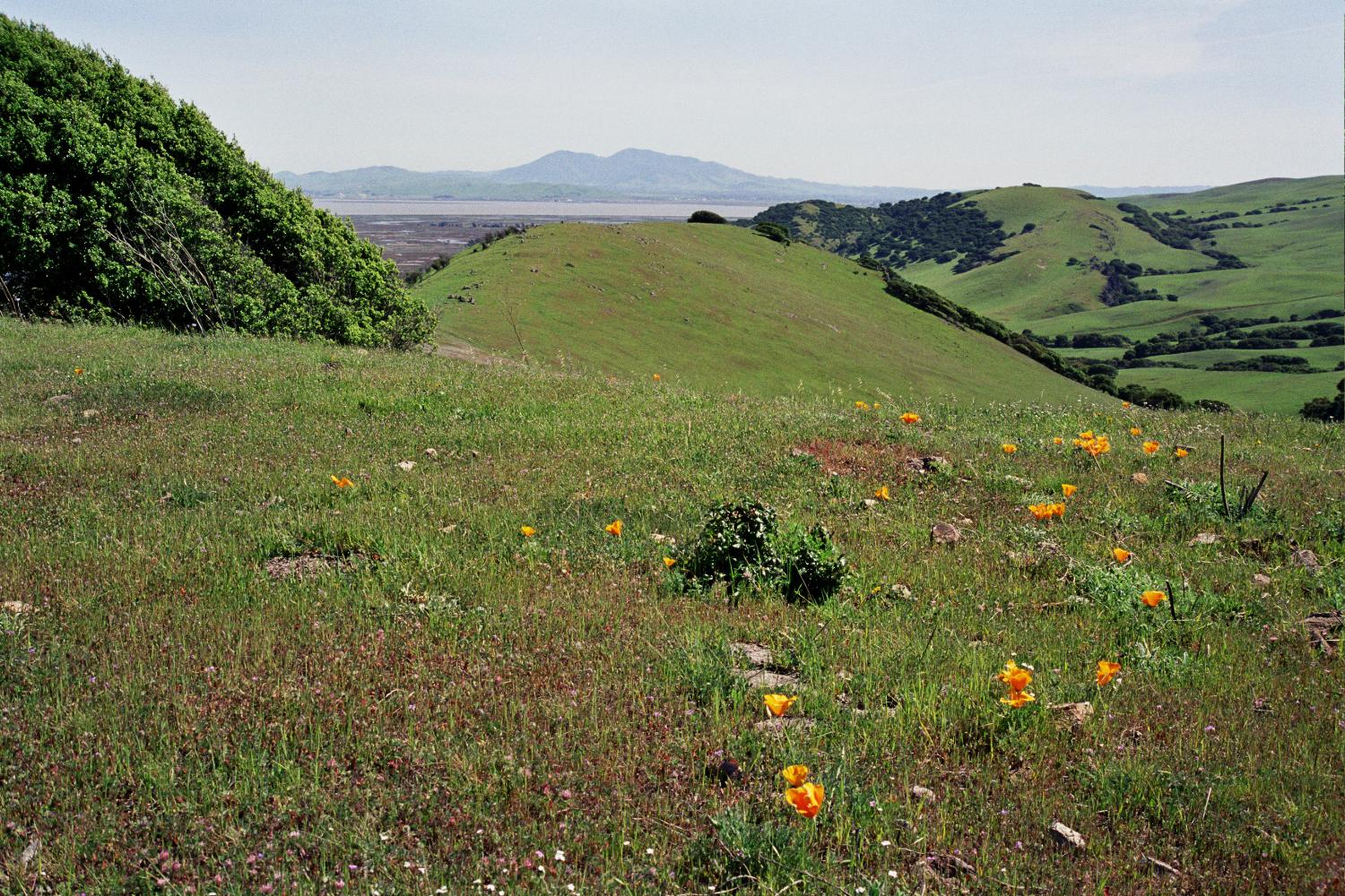 Solano Land Trust Public Access Program Manager | Potrero Group